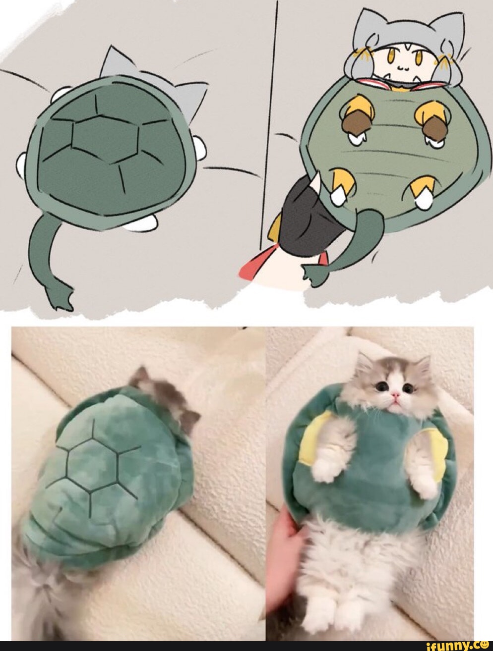 Picture memes mjY89oFAB by PoppyThePureCinnamonRoll: 31 comments - iFunny