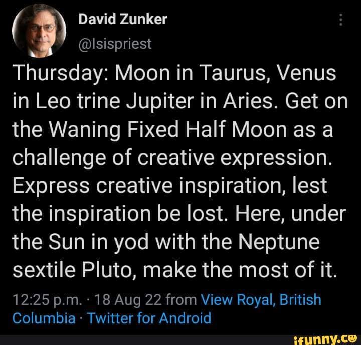 Trine memes. Best Collection of funny Trine pictures on iFunny