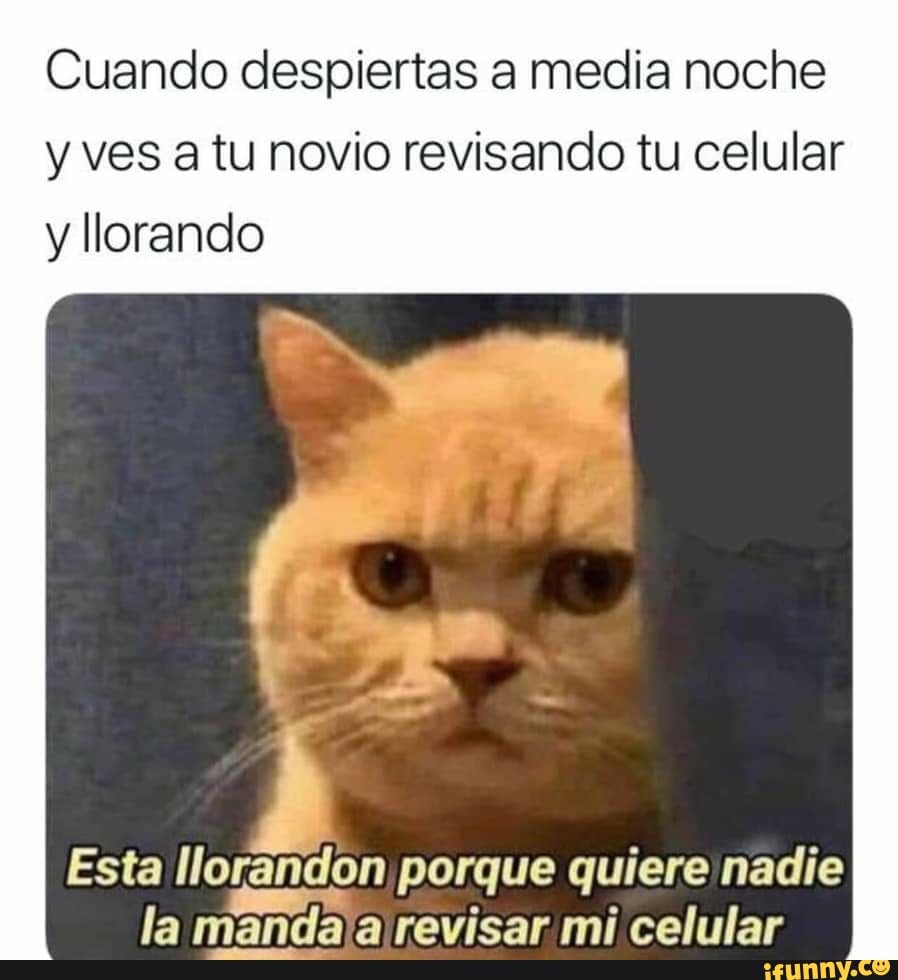 Revisar memes. Best Collection of funny Revisar pictures on iFunny