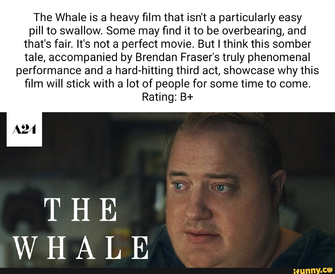 The Whale is a heavy film that isn't a particularly easy pill to ...