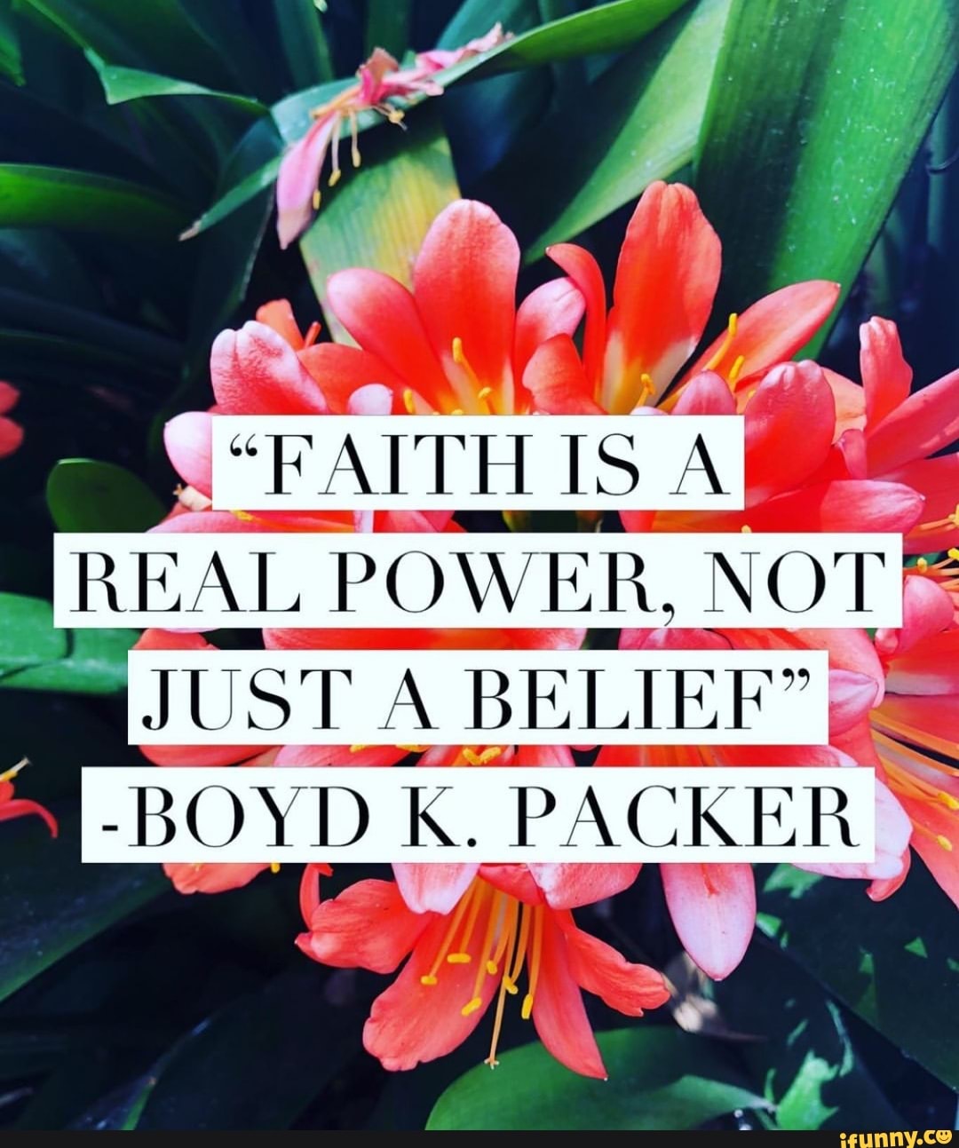 Boyd memes. Best Collection of funny Boyd pictures on iFunny