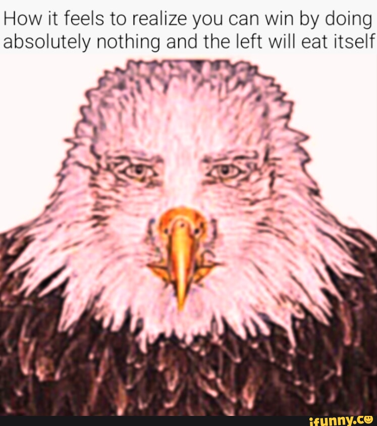 Dwi memes. Best Collection of funny Dwi pictures on iFunny