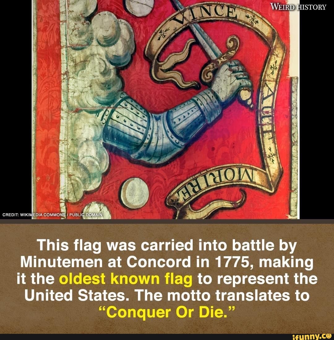 'ORY This flag was carried into battle by Minutemen at Concord in 1775 ...