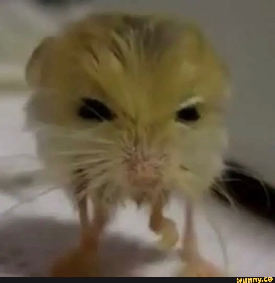 Boggle memes. Best Collection of funny Boggle pictures on iFunny