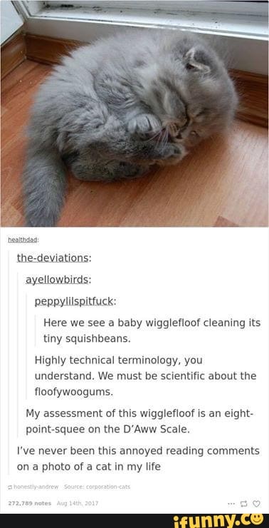 Squee memes. Best Collection of funny Squee pictures on iFunny