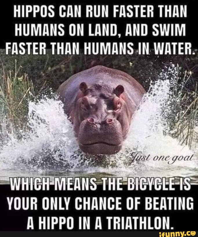 Triathlon memes. Best Collection of funny Triathlon pictures on iFunny