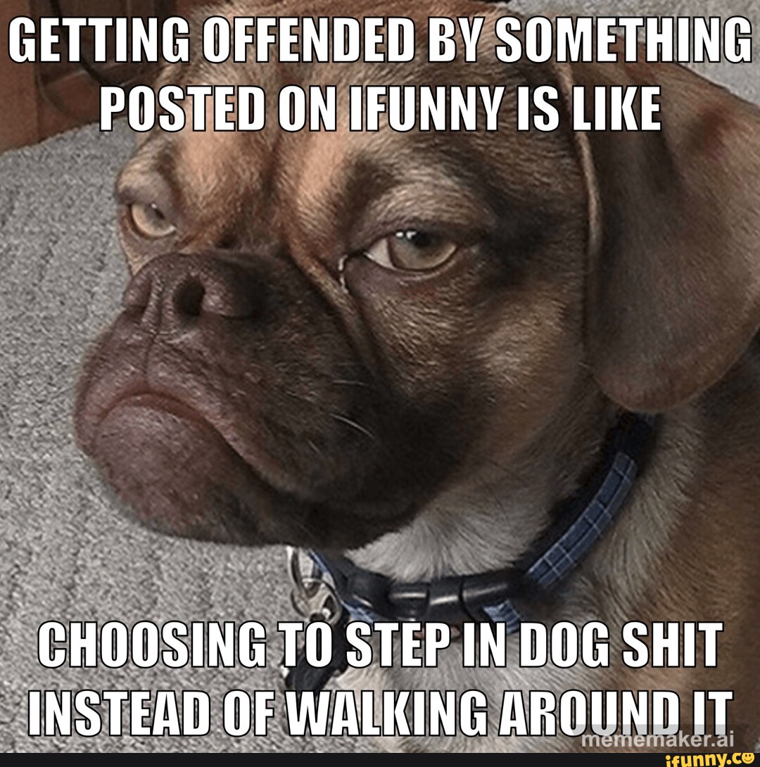 Angel Wings VFX - iFunny