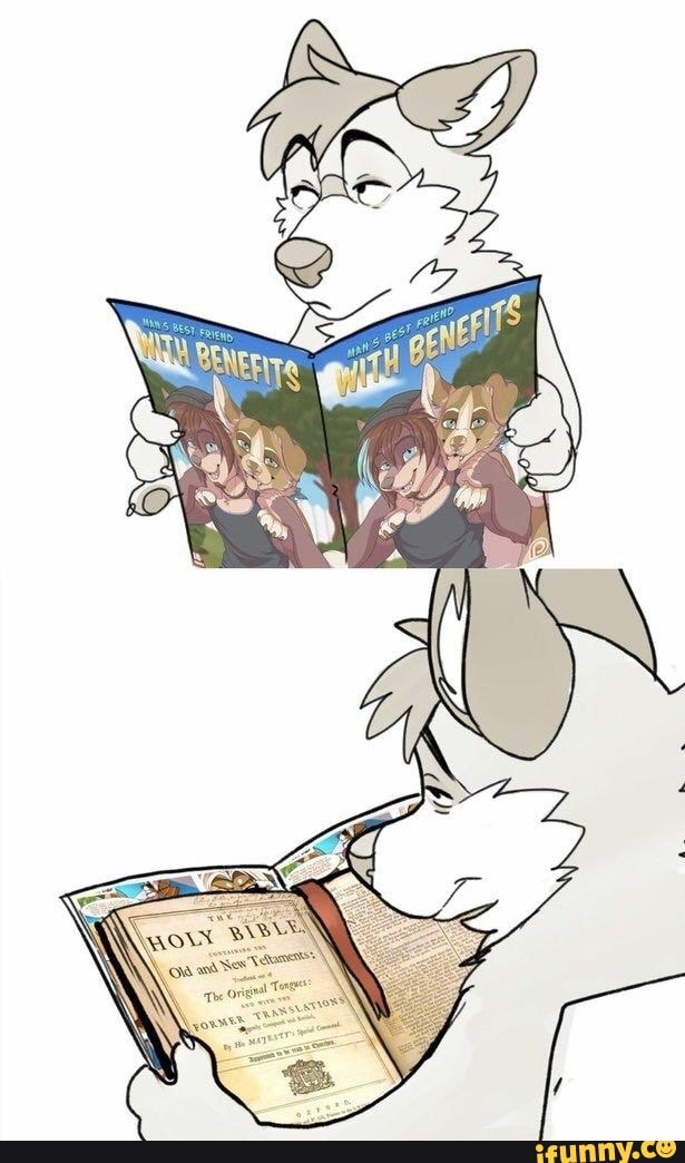 Kabier memes. Best Collection of funny Kabier pictures on iFunny