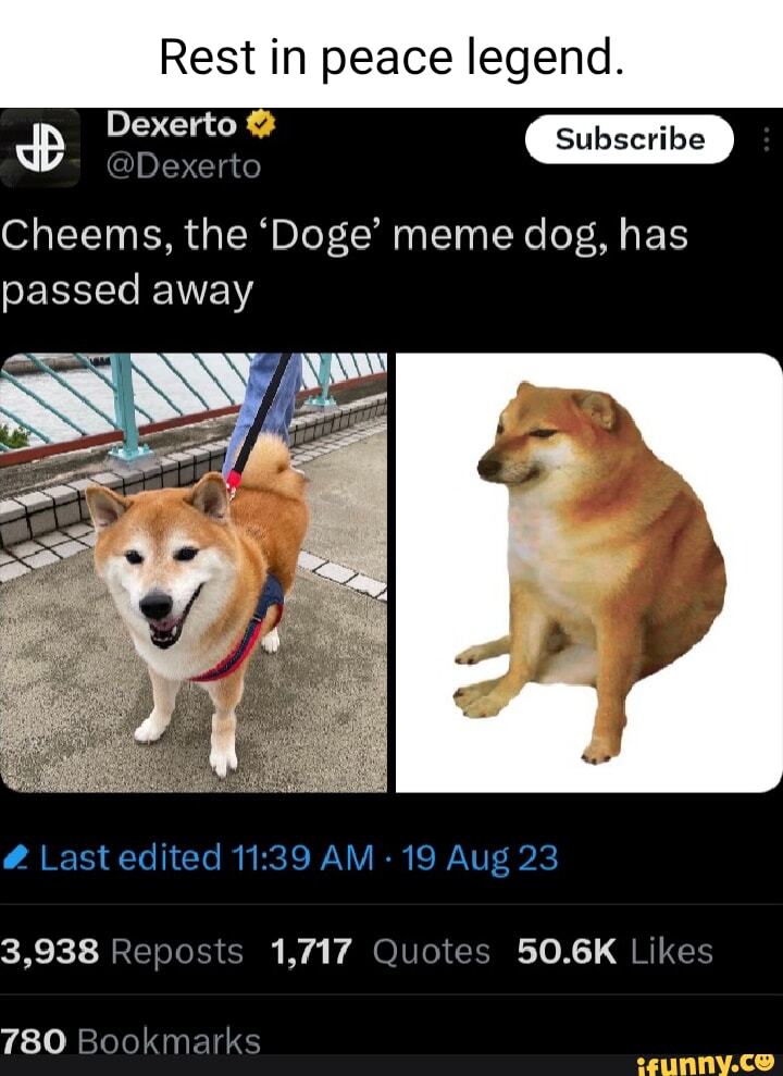Rest in peace legend. Dexerto Cheems, the 'Doge' meme dog, has passed ...