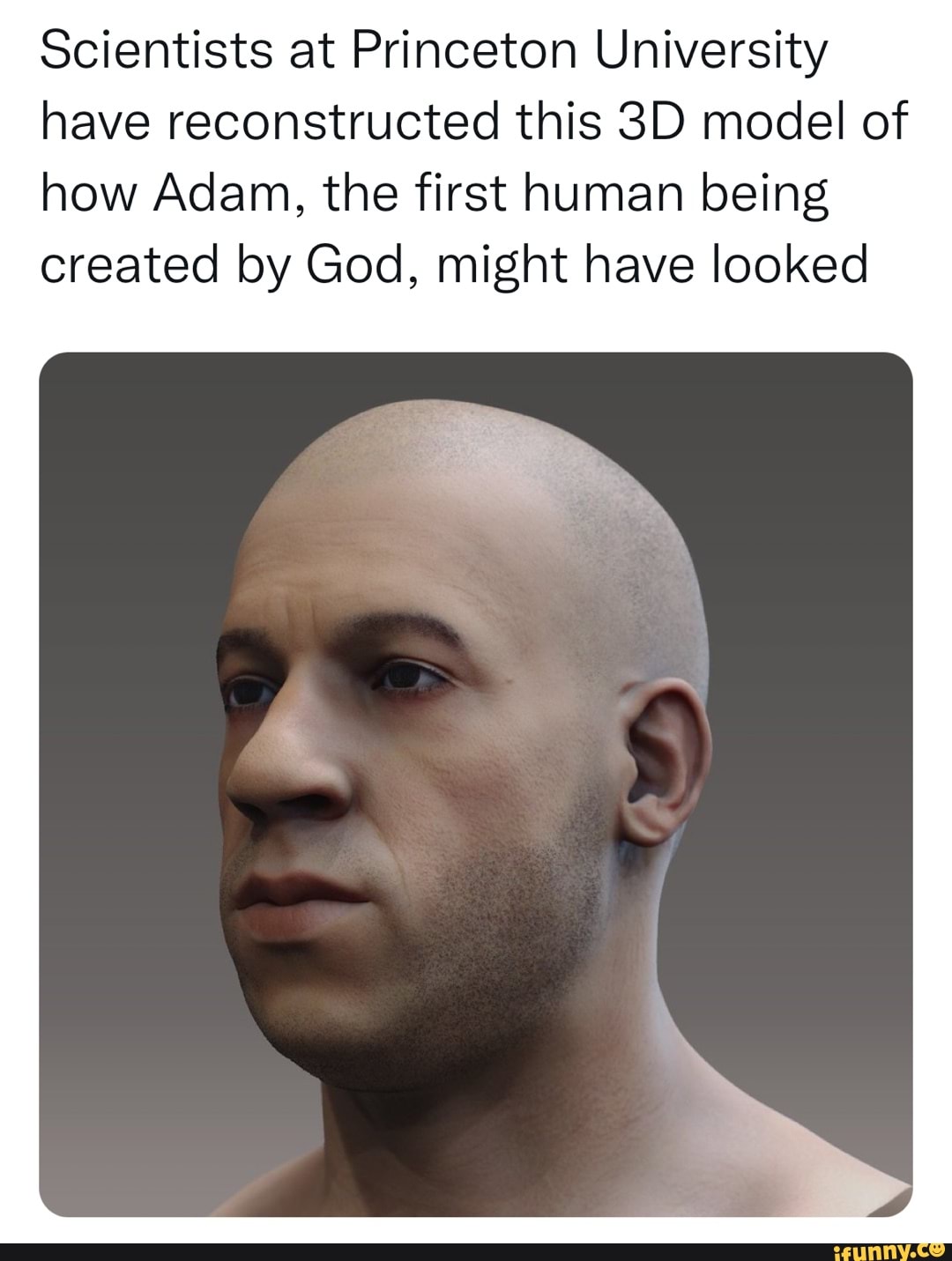 Scientists at Princeton University have reconstructed this model of how ...