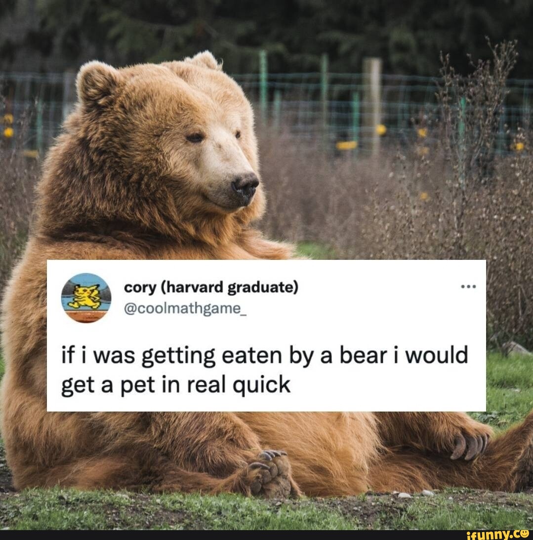 Cony (harvare @coolmathgame_ if i was getting eaten by a bear would get a pet in real quick - iFunny