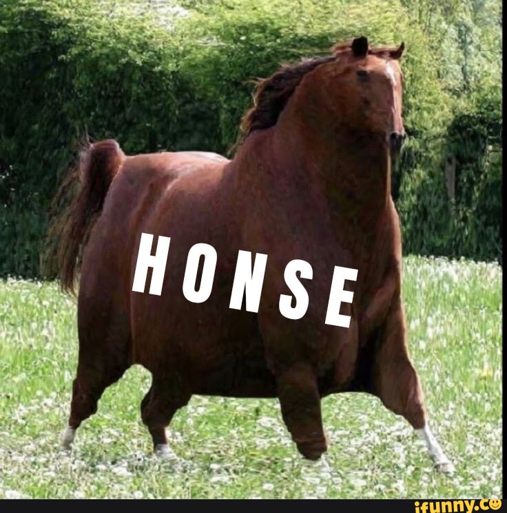 Honse memes. Best Collection of funny Honse pictures on iFunny