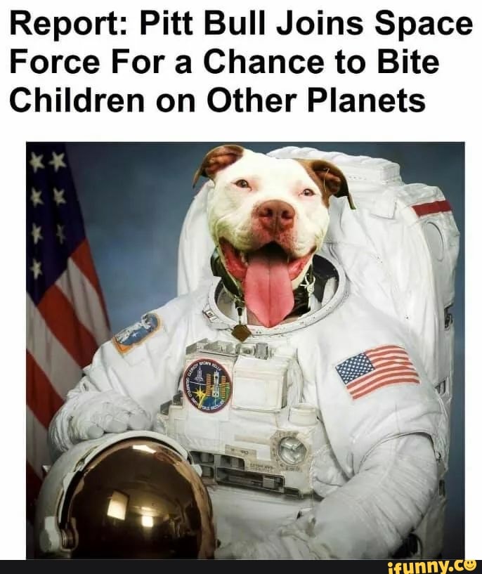 Dog breed of Peace strikes again | O-T Lounge