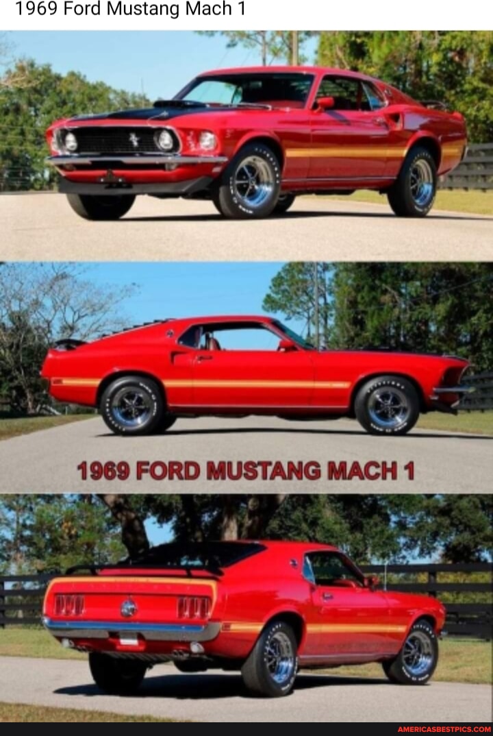 1969 Ford Mustang Mach 1 1969 FORD MUSTANG MACH 1 Pe - America’s best ...