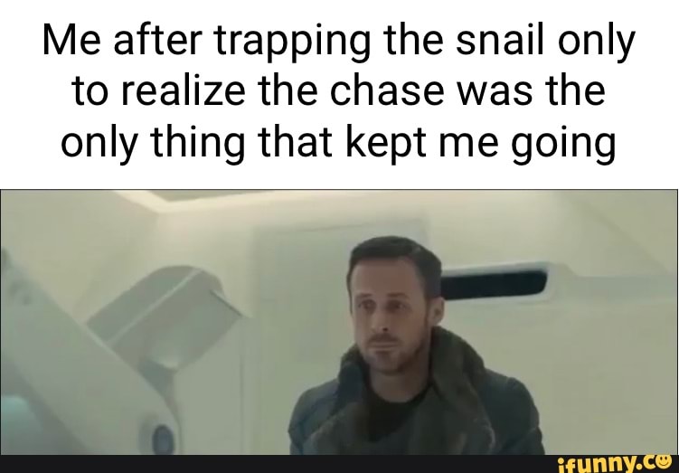 Video memes jszGdseD6 by BickeyB_2016: 1.8K comments - )