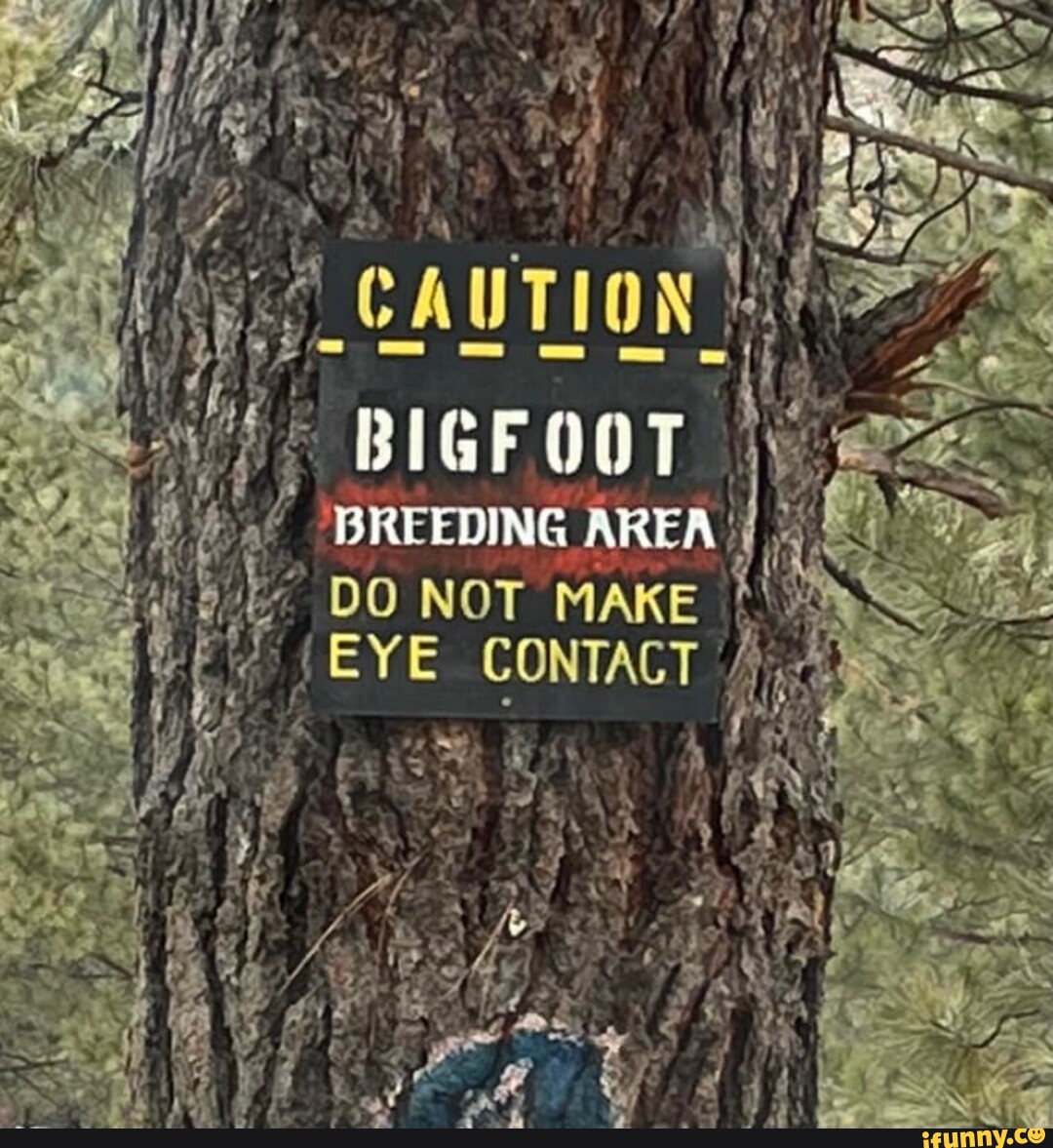 We BREEDING AREA DO NOT MAKE BYE CONTACT - iFunny
