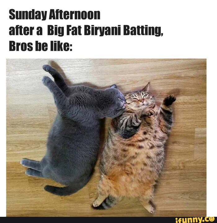 Biryani memes. Best Collection of funny Biryani pictures on iFunny