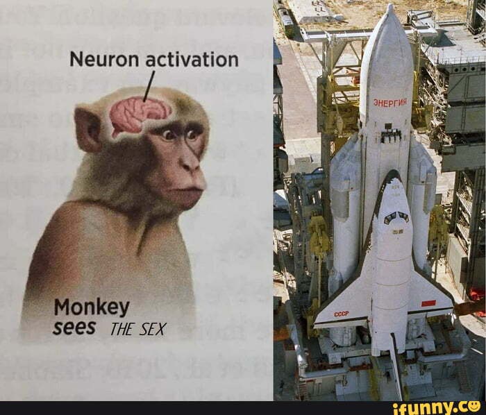 Neuron Activation Key The Sex Ifunny
