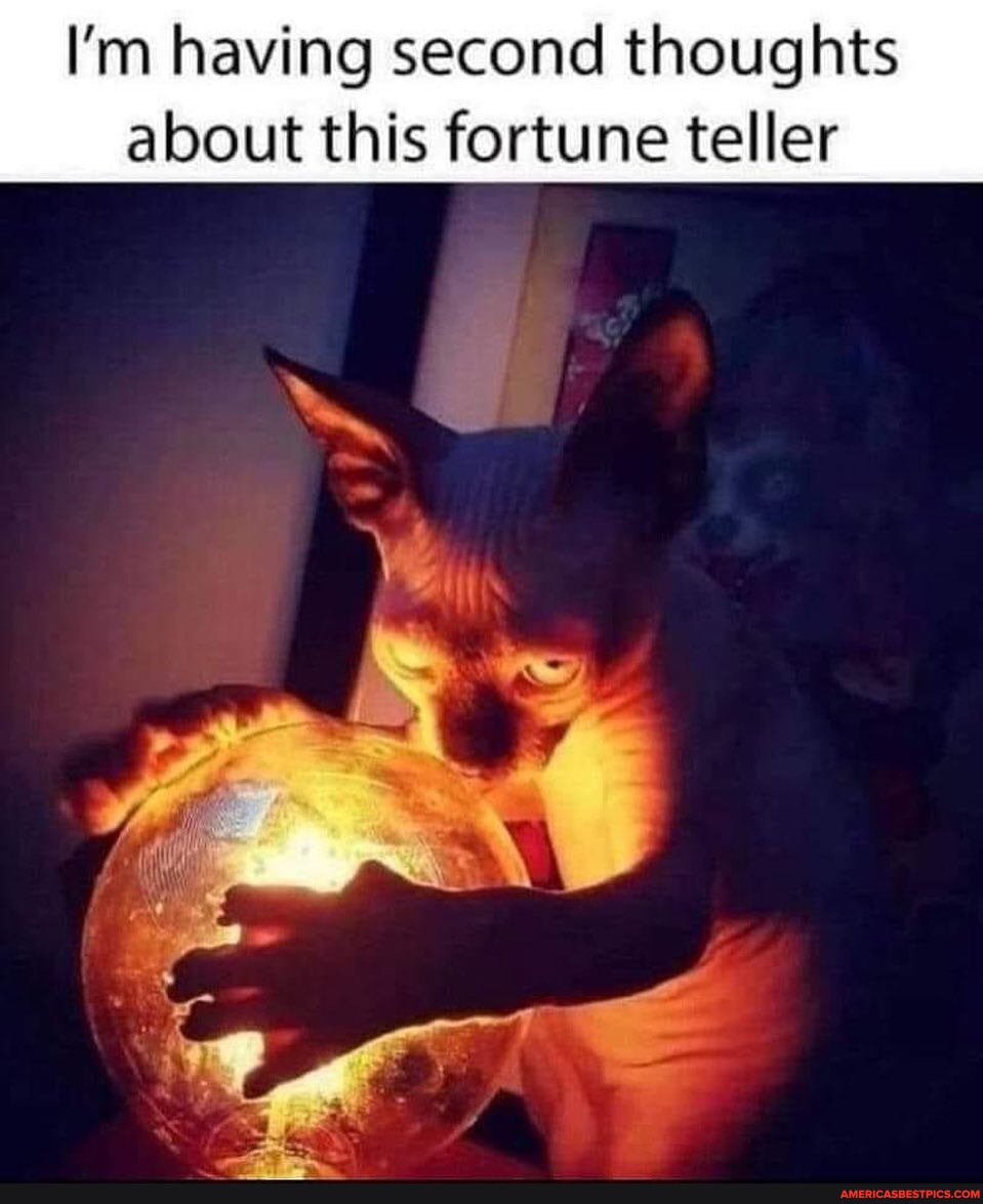 Follow @plzdontstopthememes #memes #meme #memesdaily #memes😂 #funny #funnymemes #funnymemesdaily ...