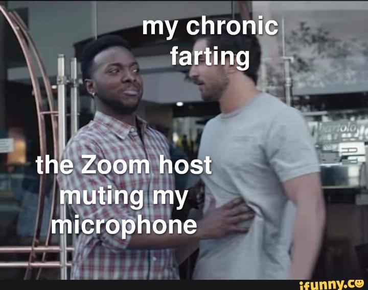 My chronic farting the Zoom host muting my microphone - iFunny