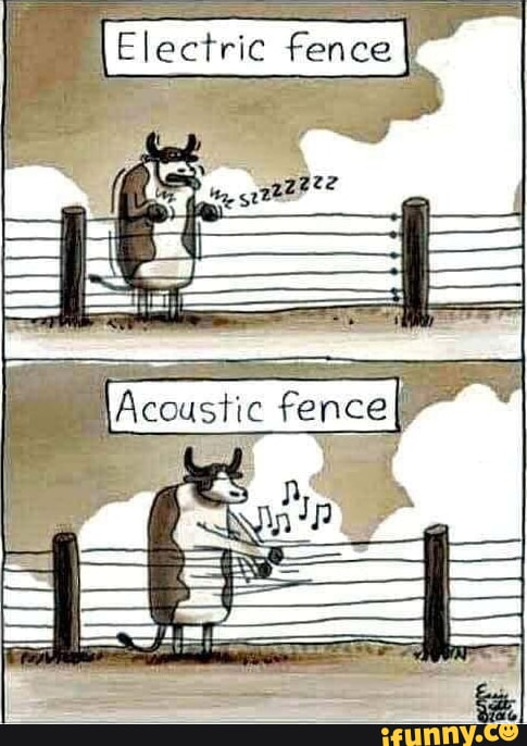 Fence memes. Best Collection of funny Fence pictures on iFunny