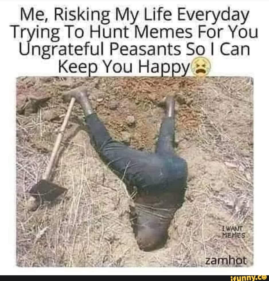 Me, Risking My Life Everyday Trying To Hunt Memes For You Ungrateful ...