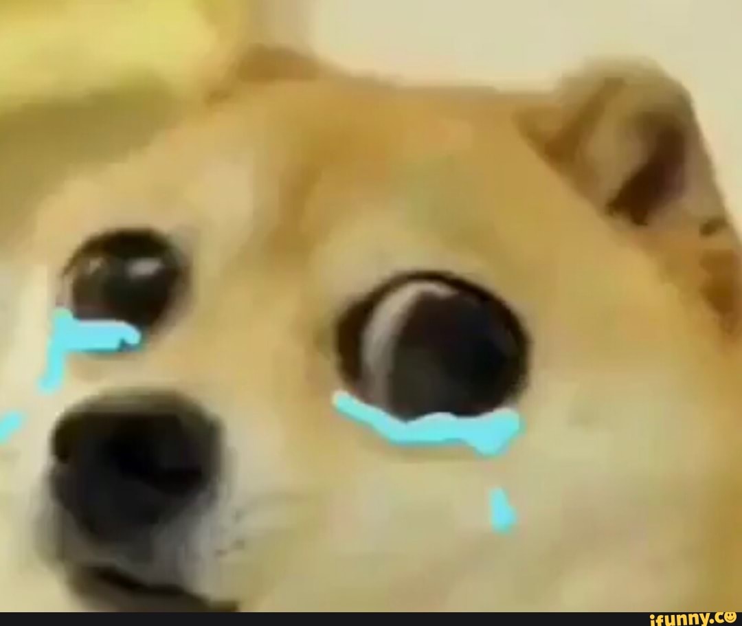 Picture memes d19au1Ne6 by czdelta - iFunny