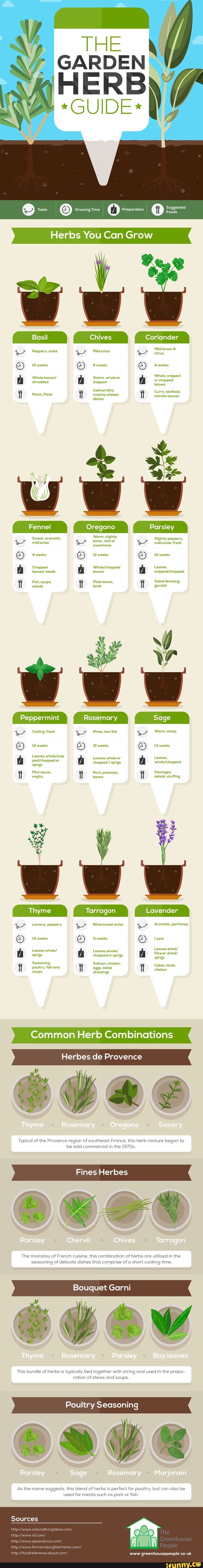 Chives memes. Best Collection of funny Chives pictures on iFunny