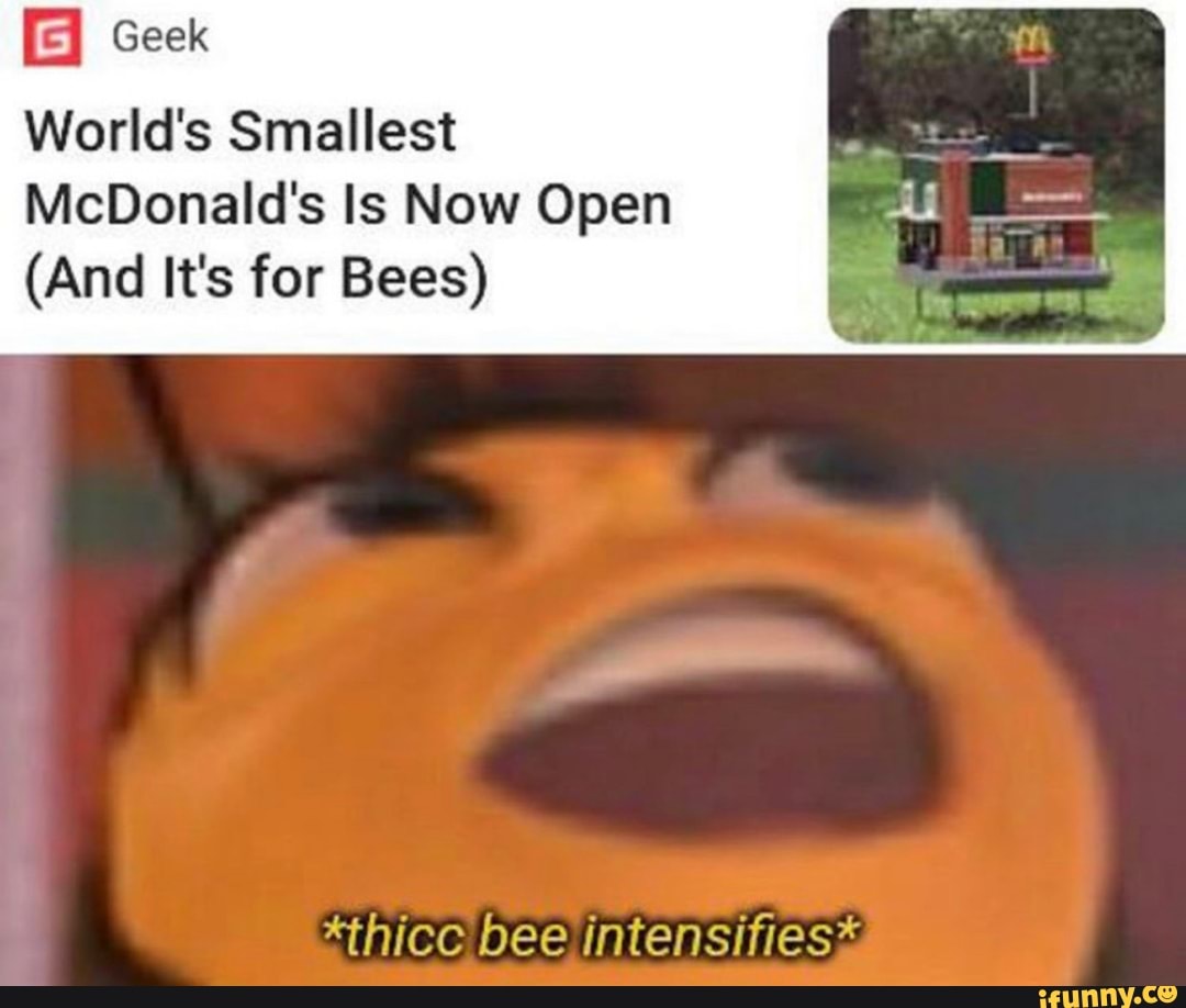 Fa Geek World's Smallest McDonald's Is Now Open (And It's for Bees ...