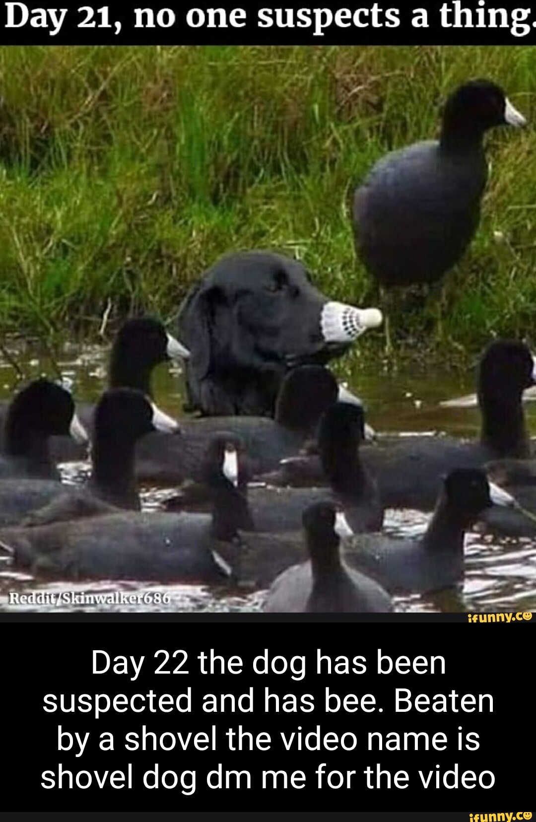 Suspects memes. Best Collection of funny Suspects pictures on iFunny