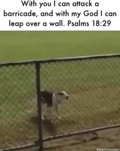 With you I can attack a barricade, and with my God I can leap over a ...