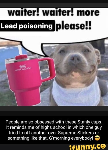 Lead poisoning please People are so obsessed with these Stanly cups. It ...