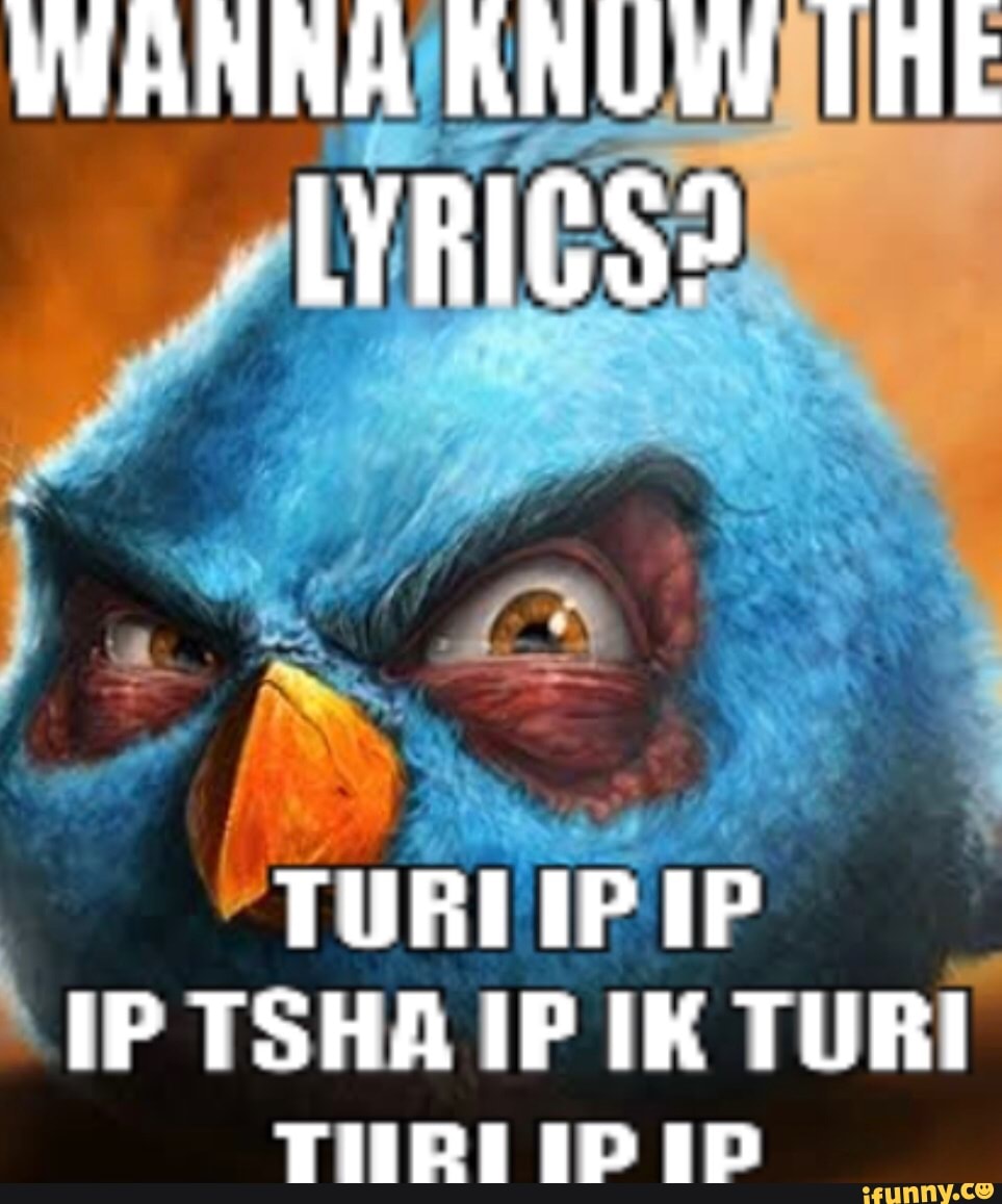 Turiipip memes. Best Collection of funny Turiipip pictures on iFunny