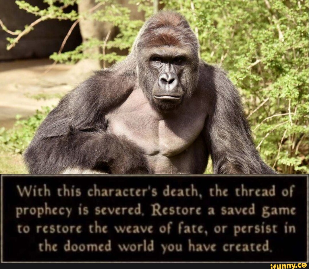 Fate memes. Best Collection of funny Fate pictures on iFunny