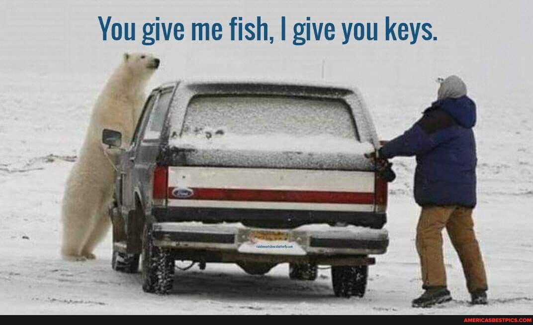 You give me fish, I give you keys. - America’s best pics and videos