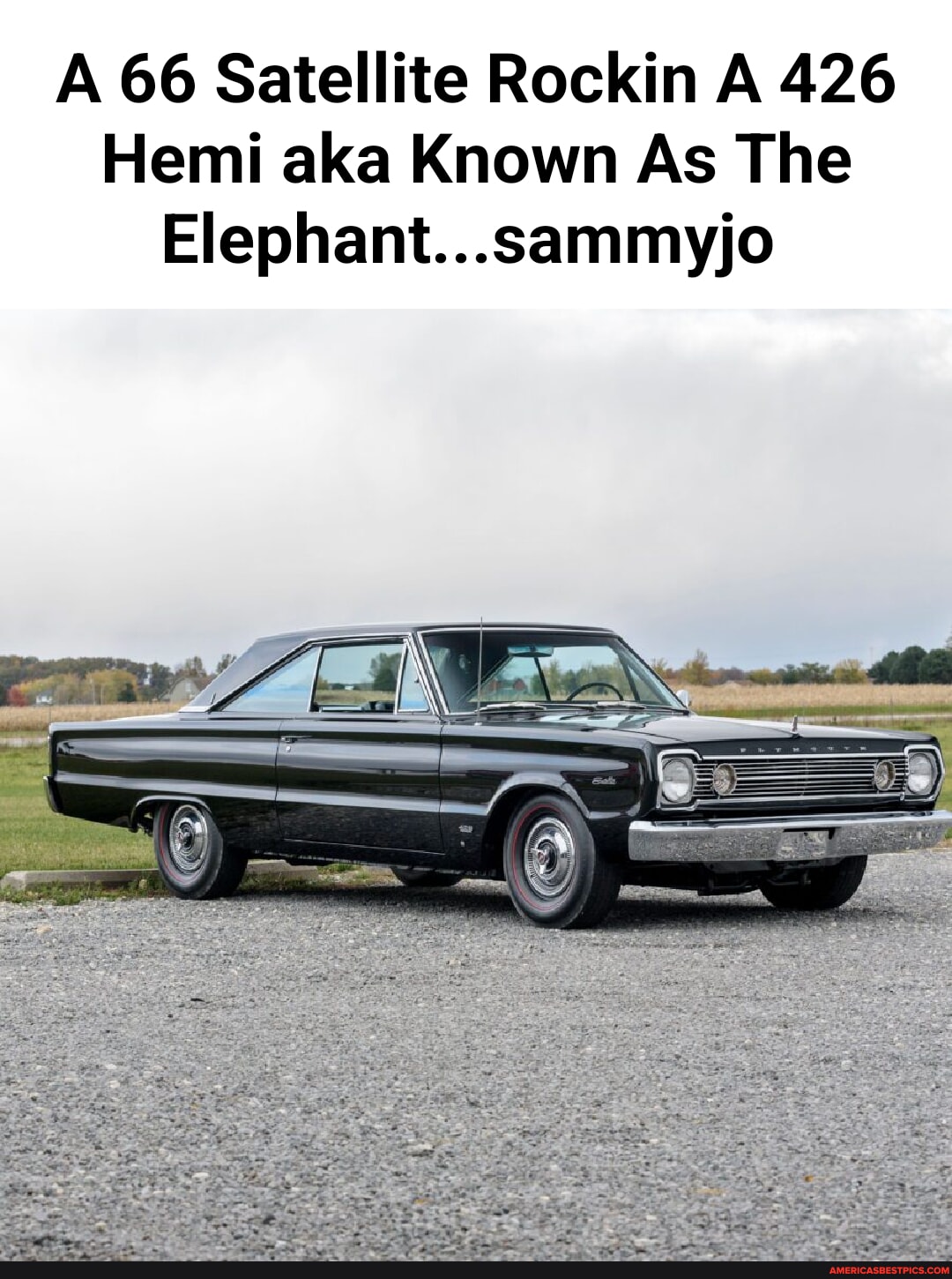 A 66 Satellite Rockin A 426 Hemi aka Known As The Elephant...sammyjo ...