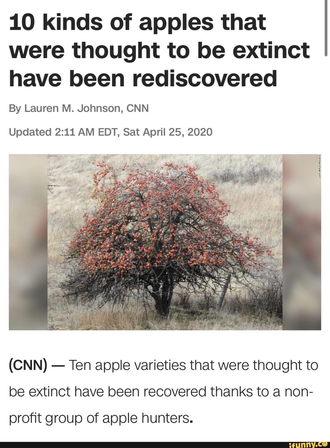 10 kinds of apples that were thought to be extinct have been ...