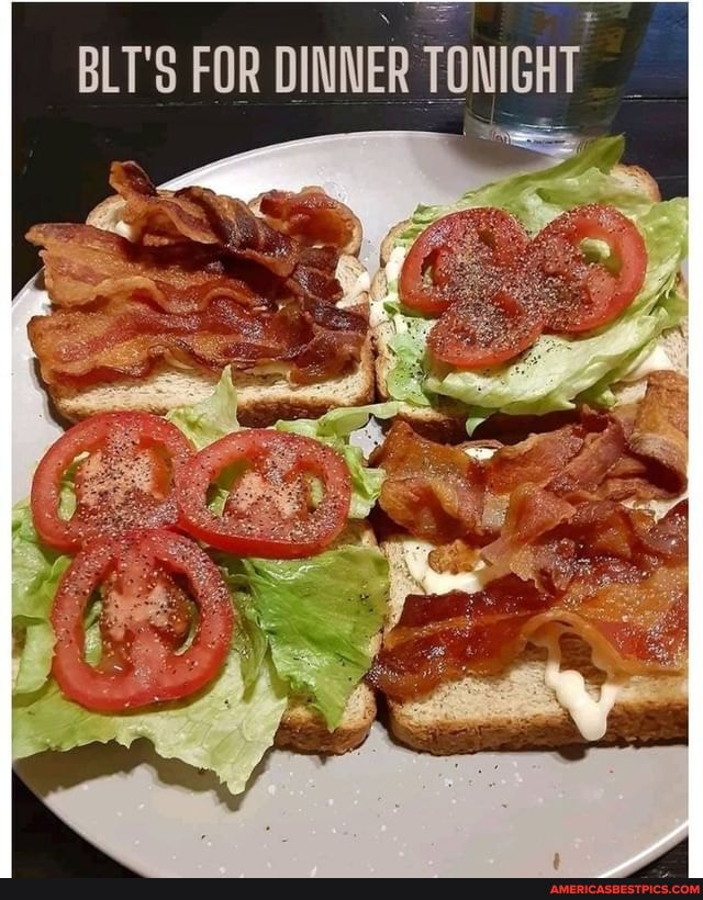 BLT'S FOR DINNER TONIGHT ! - America’s best pics and videos