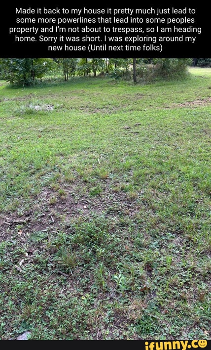 Powerlines memes. Best Collection of funny Powerlines pictures on iFunny