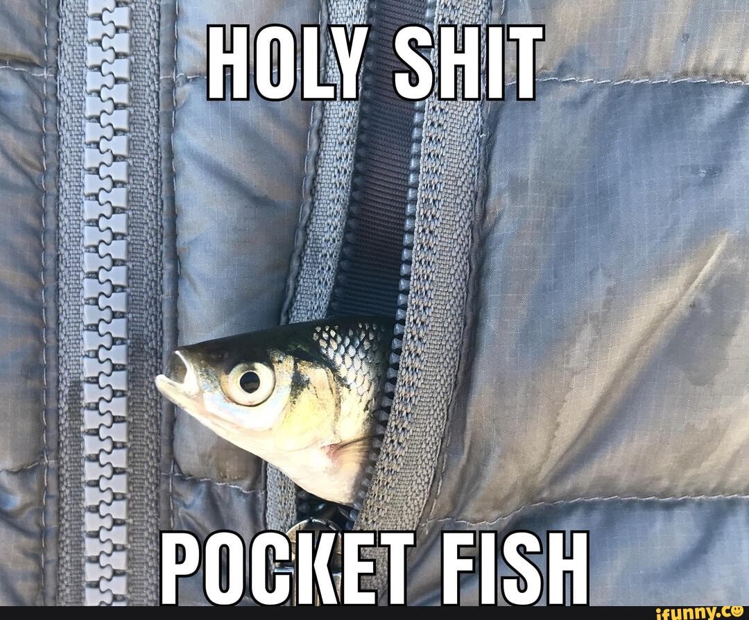 Papiet memes. Best Collection of funny Papiet pictures on iFunny