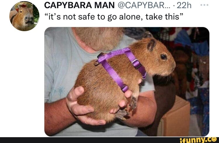 CAPYBARA MAN @CAPYBAR... "it's not safe to go alone, take this" - iFunny