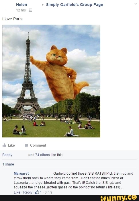 Garfields memes. Best Collection of funny Garfields pictures on iFunny