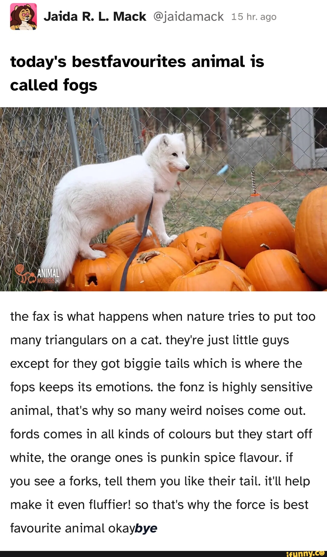 Mack memes. Best Collection of funny Mack pictures on iFunny