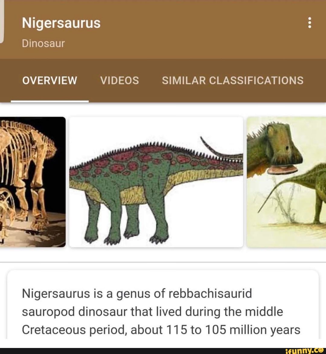 Nigersaurus Dinosaur OVERVIEW VIDEOS SIMILAR CLASSIFICATIONS ...