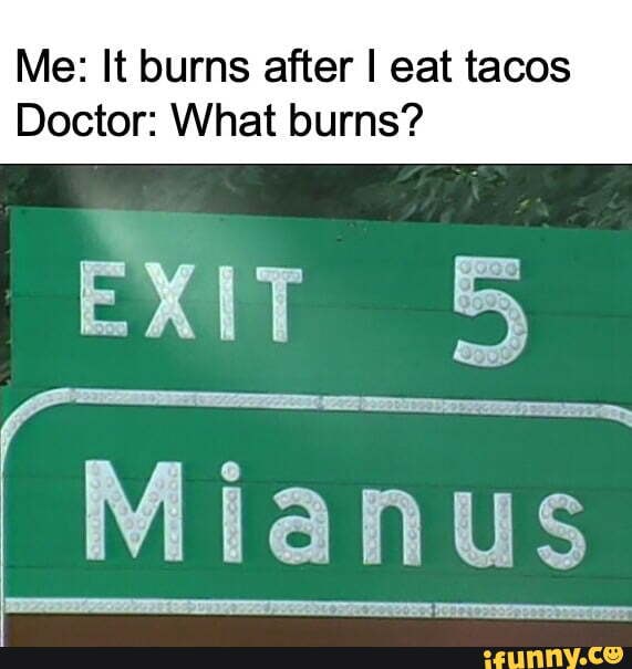 Mianus memes. Best Collection of funny Mianus pictures on iFunny
