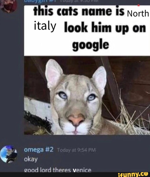 Picture memes ePnWUs69B by Jewel: 2 comments - iFunny