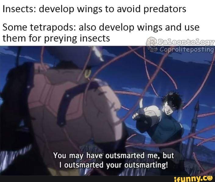 Insects: develop wings to avoid predators Some tetrapods: also develop ...