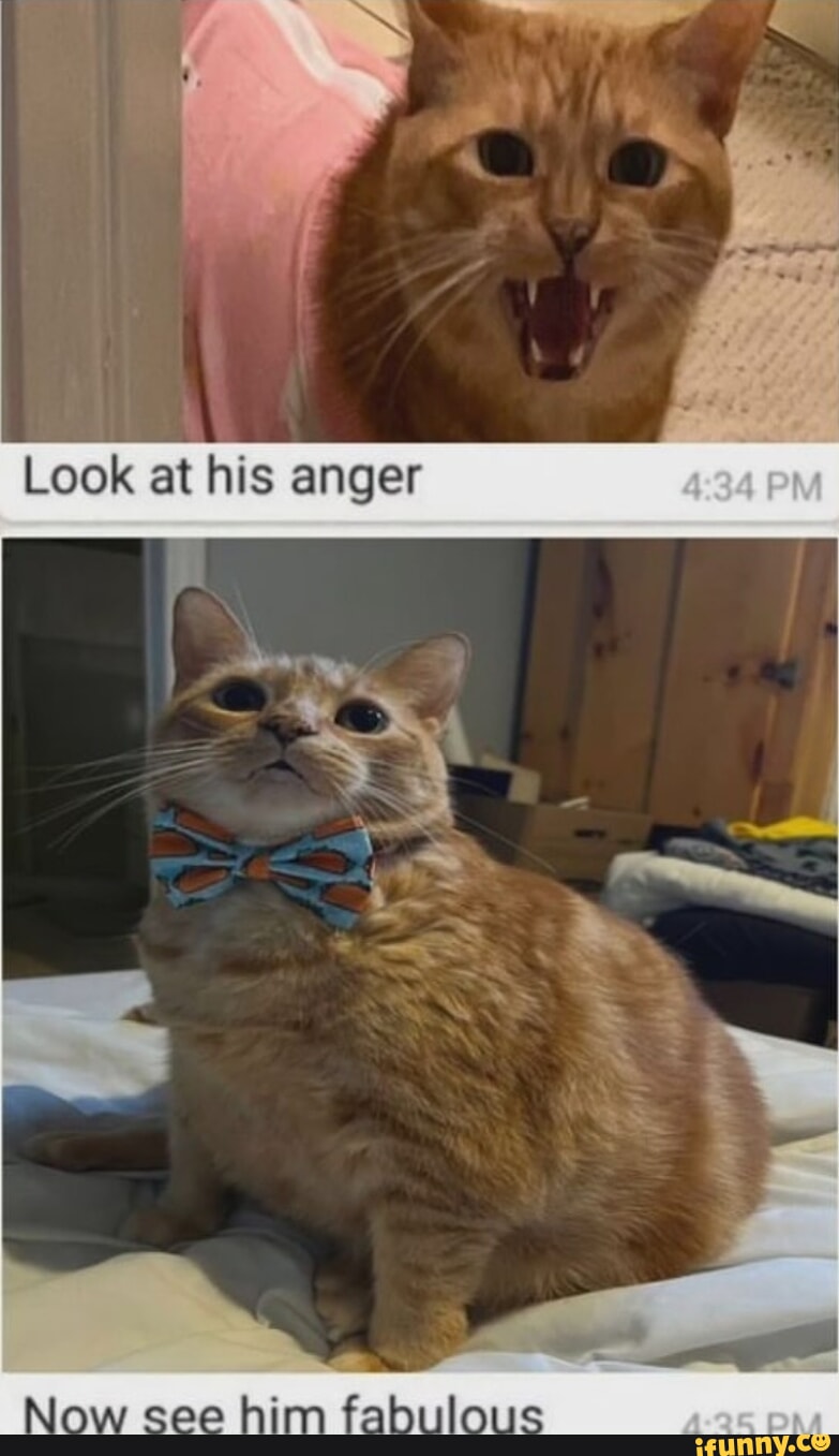 Anger Meme Pin By C Coffee On Meme | Meme Faces, Funny Memes, Memes