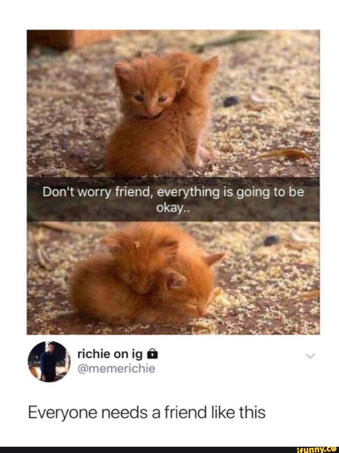 Don't worry friend, everything is going to be okay” Everyone needs a ...