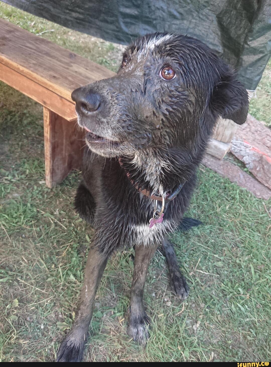 Mudson memes. Best Collection of funny Mudson pictures on iFunny